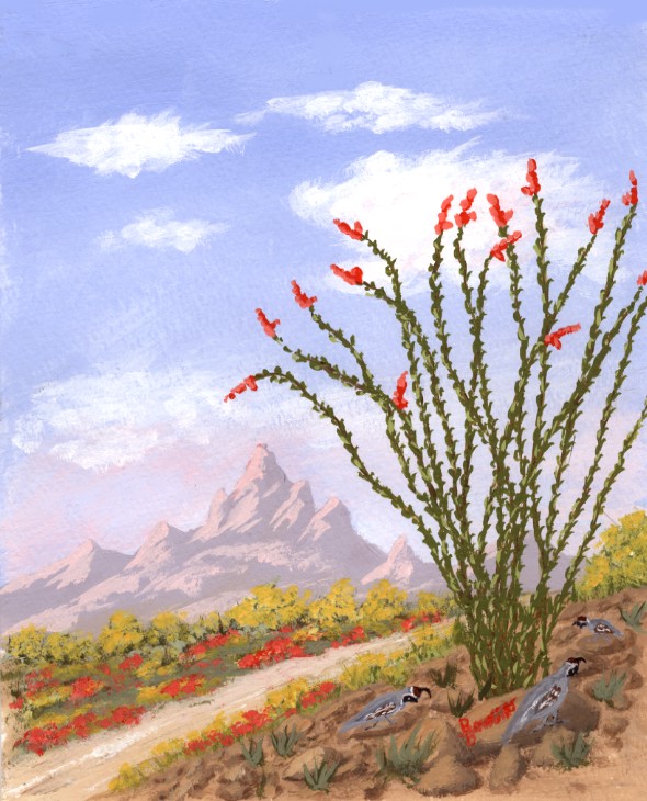 Desert sunsets,Southwest Paintings, Arizona Landscapes by Brenda Bowers